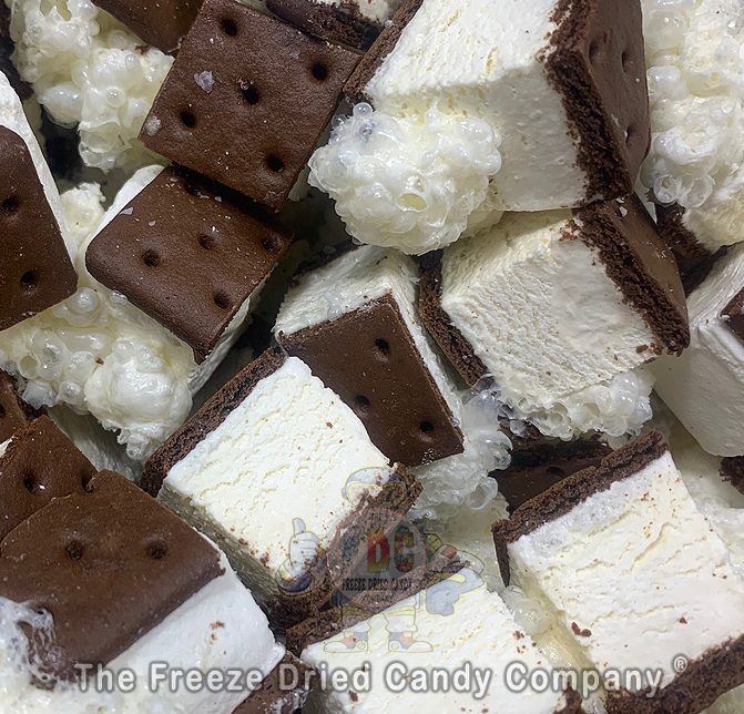 Freeze Dried Ice Cream | A BRAND NEW CANDY EXPERIENCE™ | Come try some ...