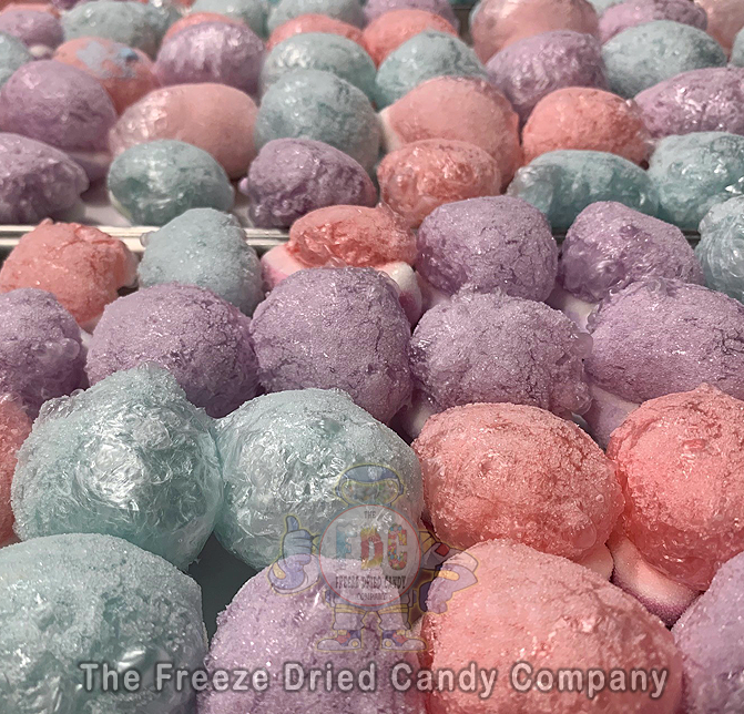 Freeze Dried Candy | A BRAND NEW CANDY EXPERIENCE™ | Come try some ...