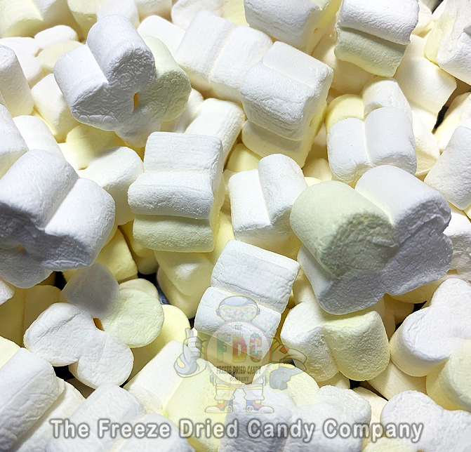 Freeze Dried Candy | A BRAND NEW CANDY EXPERIENCE™ | Come try some ...