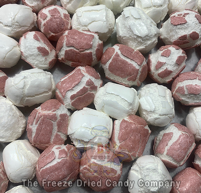 Freeze Dried Candy | A BRAND NEW CANDY EXPERIENCE™ | Come try some ...