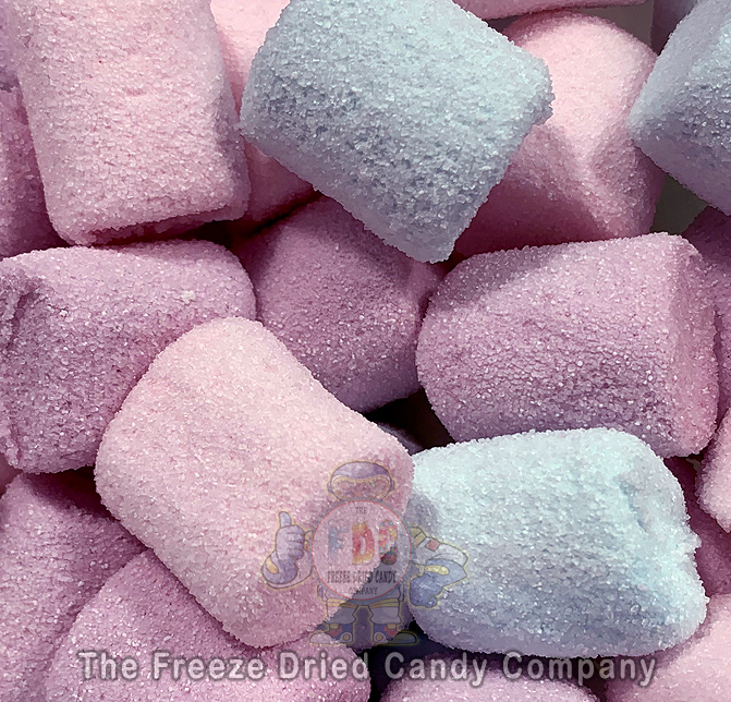 Freeze Dried Candy | A BRAND NEW CANDY EXPERIENCE™ | Come try some ...